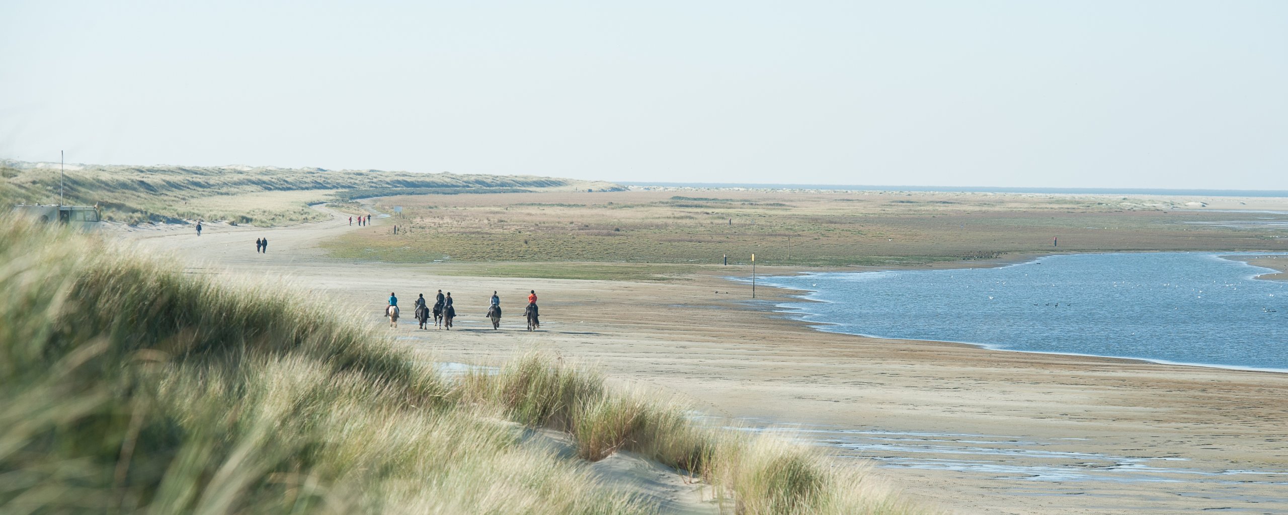 Over het eiland | Gemeente Ameland
