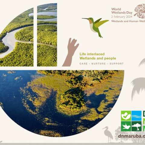 World Wetlands Day 2024: Wetlands and Human Wellbeing. | Government of Aruba