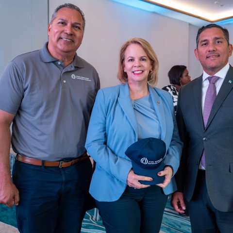 Presentation of the AWSS Technical Plan to Solve the RWZI Issues ...