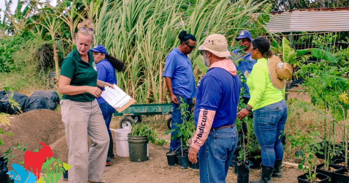 Santa Rosa completes its Syntropic Agroforestry project. | Government ...