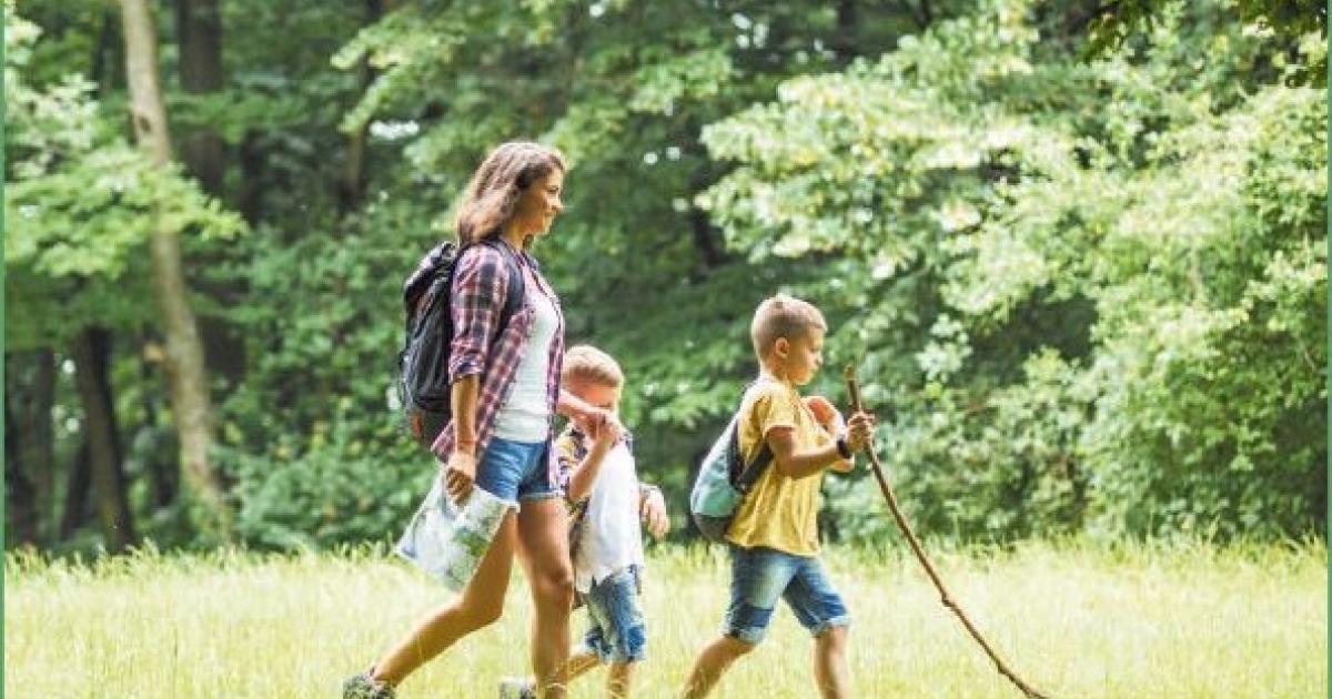 Informatiekrant Zorg en Ondersteuning | Berg en Dal