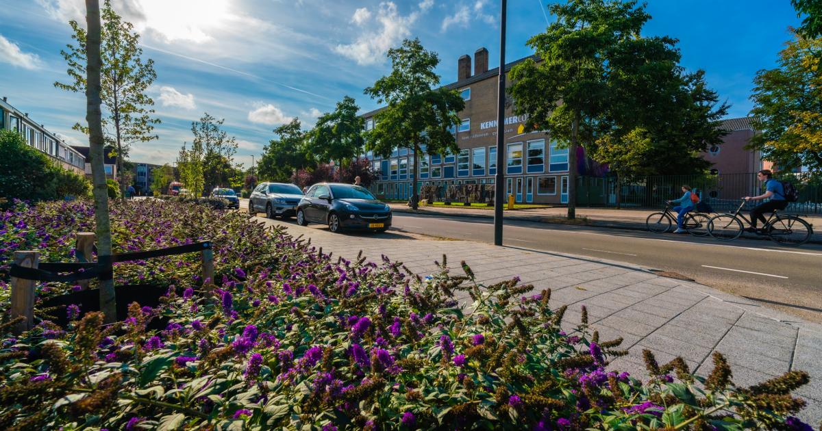 Schone, groene en fijne leefomgeving | Gemeente Beverwijk