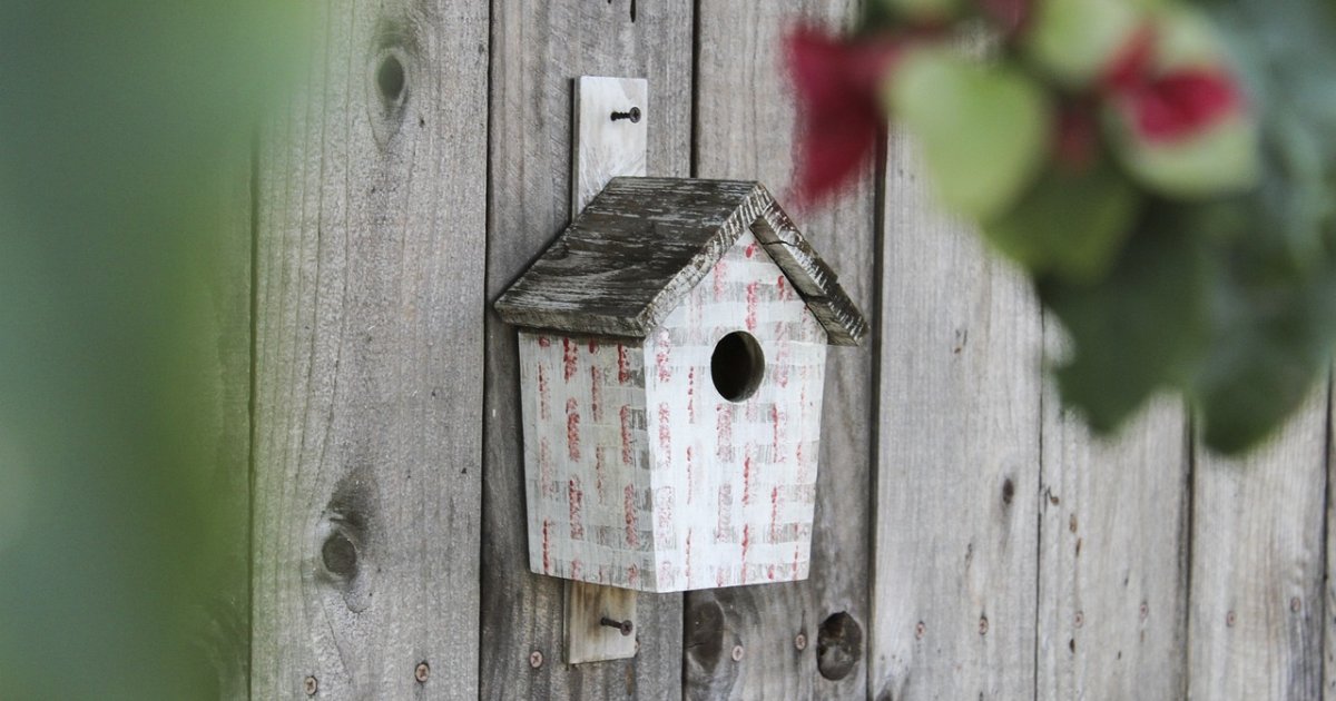 Help de vogels in je tuin met een huisje | Gemeente Beverwijk