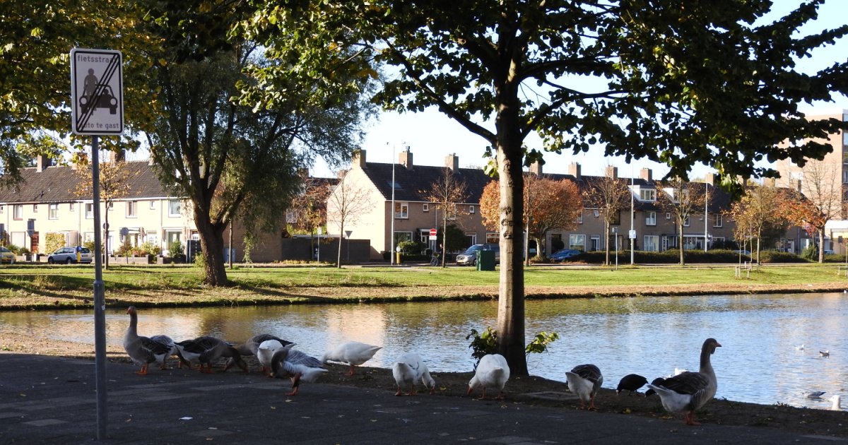 Wonen en leven in Beverwijk en Wijk aan Zee | Gemeente Beverwijk