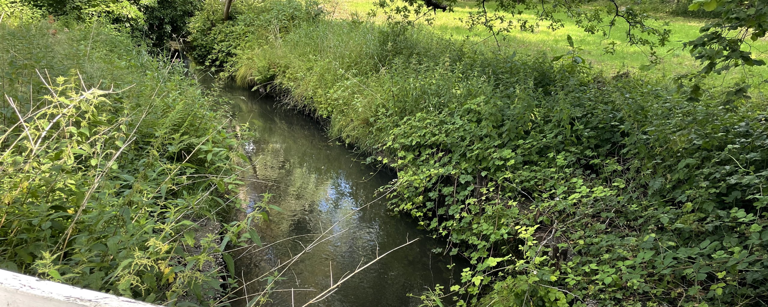 Chaamse Beken | Waterschap Brabantse Delta