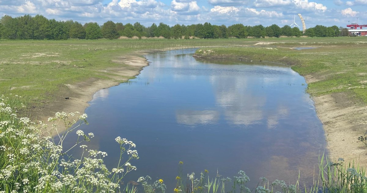Subsidie voor het verbreden van een bestaande sloot | Waterschap ...