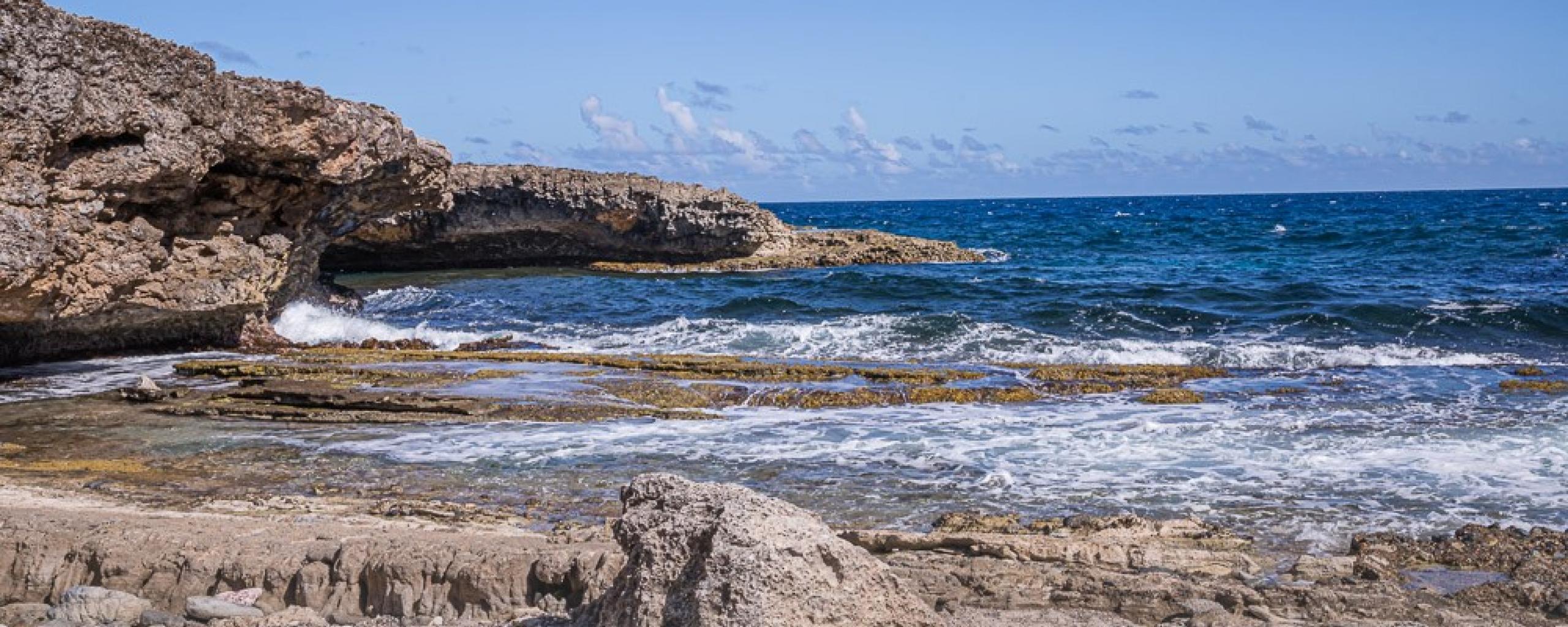 Services | Central Bureau of Statistics Curaçao