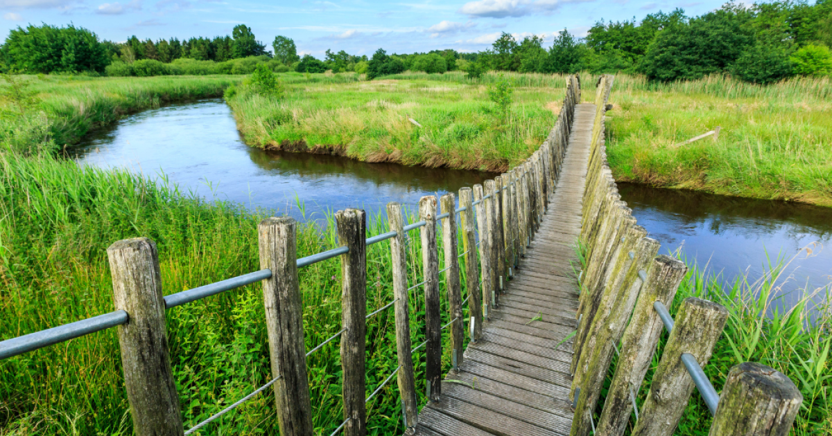 Terugblik inloopbijeenkomsten Dommeldal over NRD | Waterschap De Dommel