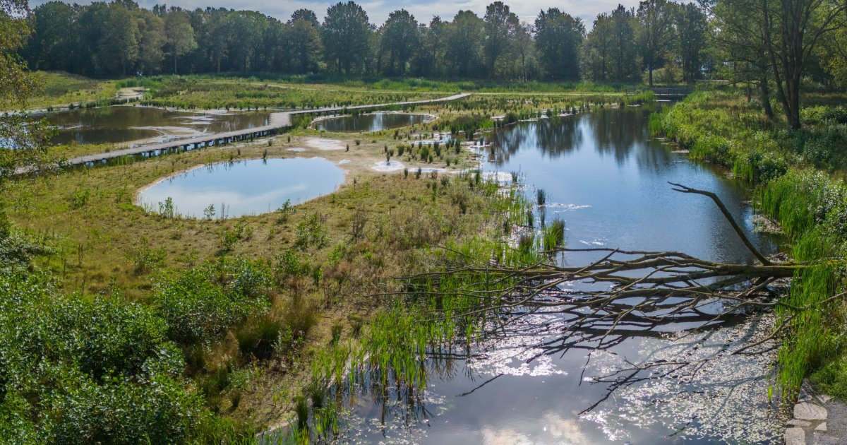 Watervisie | Waterschap De Dommel