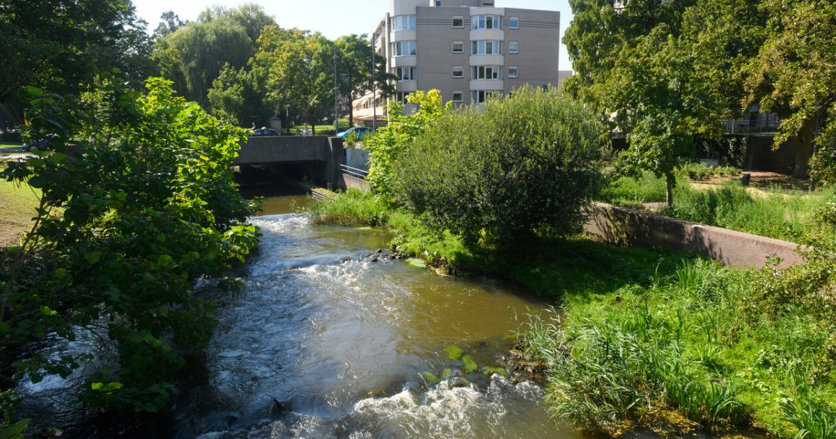 Waterschap strijdt op twee fronten voor schone Dommel: rechtsgang én ...