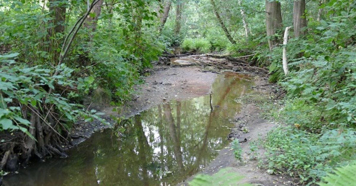 Op twee locaties blijft extra water nodig voor beken | Waterschap De Dommel