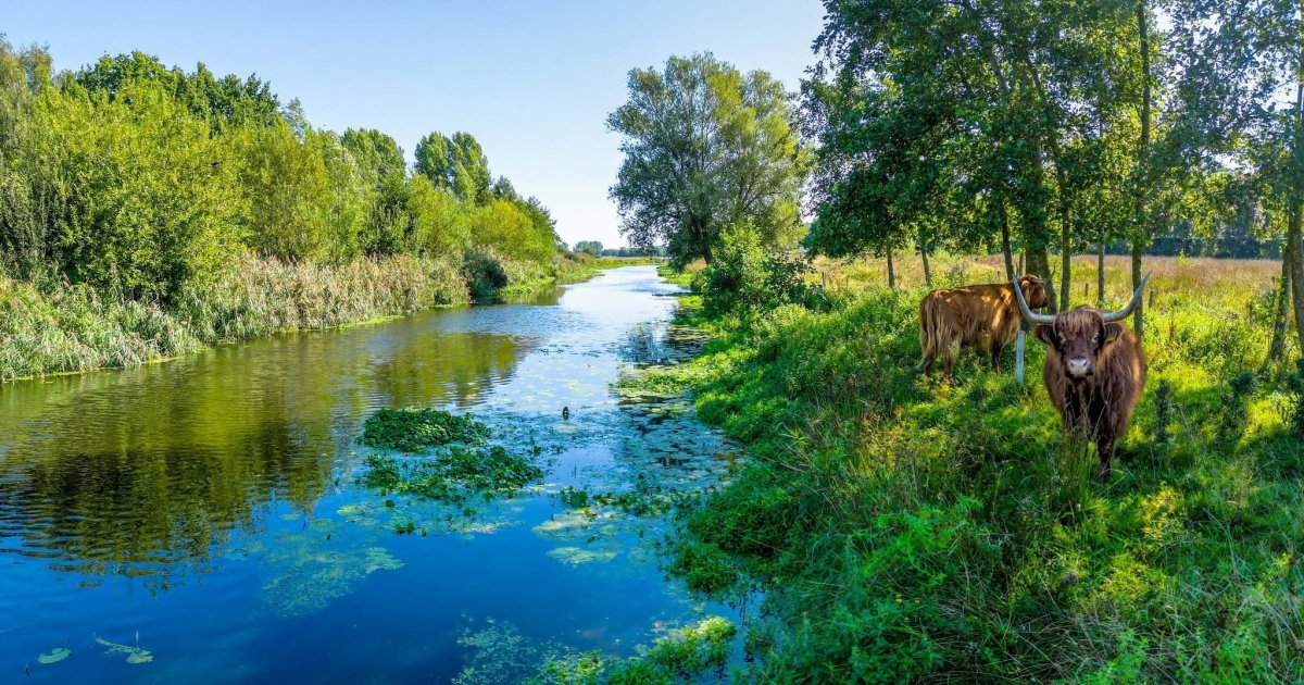 Win vaartocht over de Dommel met fotowedstrijd | Waterschap De Dommel