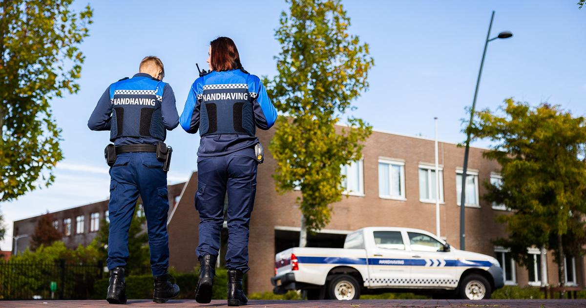 Jeugdboa’s, wat doen zij nu eigenlijk? | Gemeente Goeree-Overflakkee