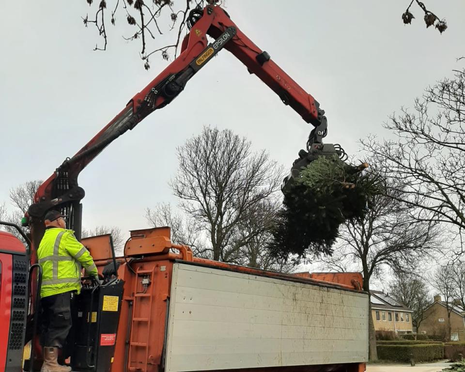 Kerstbomeninzameling 2026 | Gemeente Harlingen