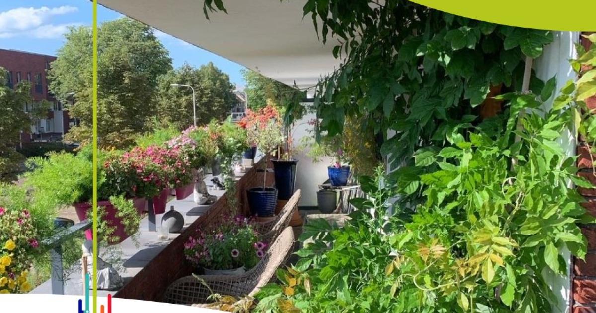 Een mini tuintje op je balkon? | Heeze-leende