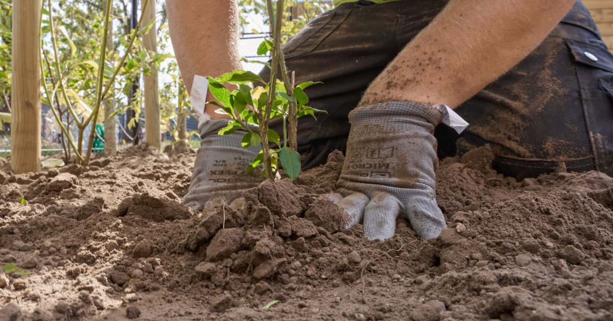 Plant je mee? | Heeze-leende
