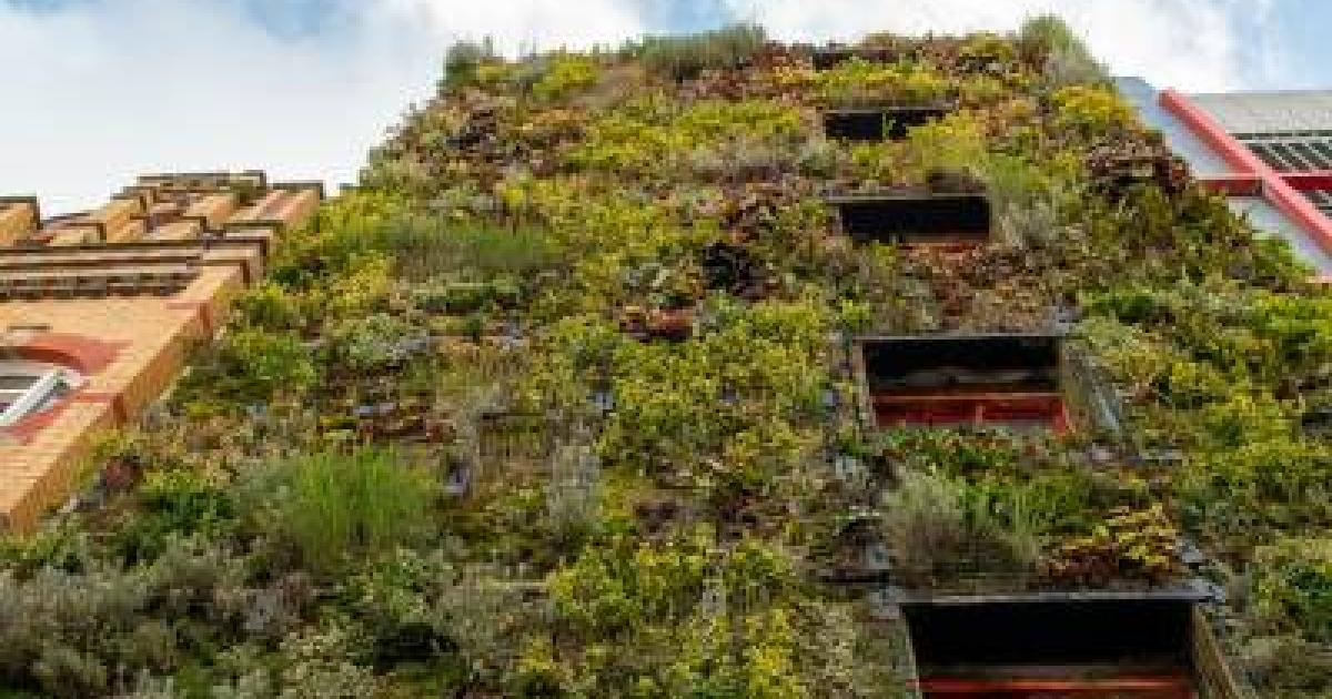 Groene gevel | Hoogheemraadschap Hollands Noorderkwartier