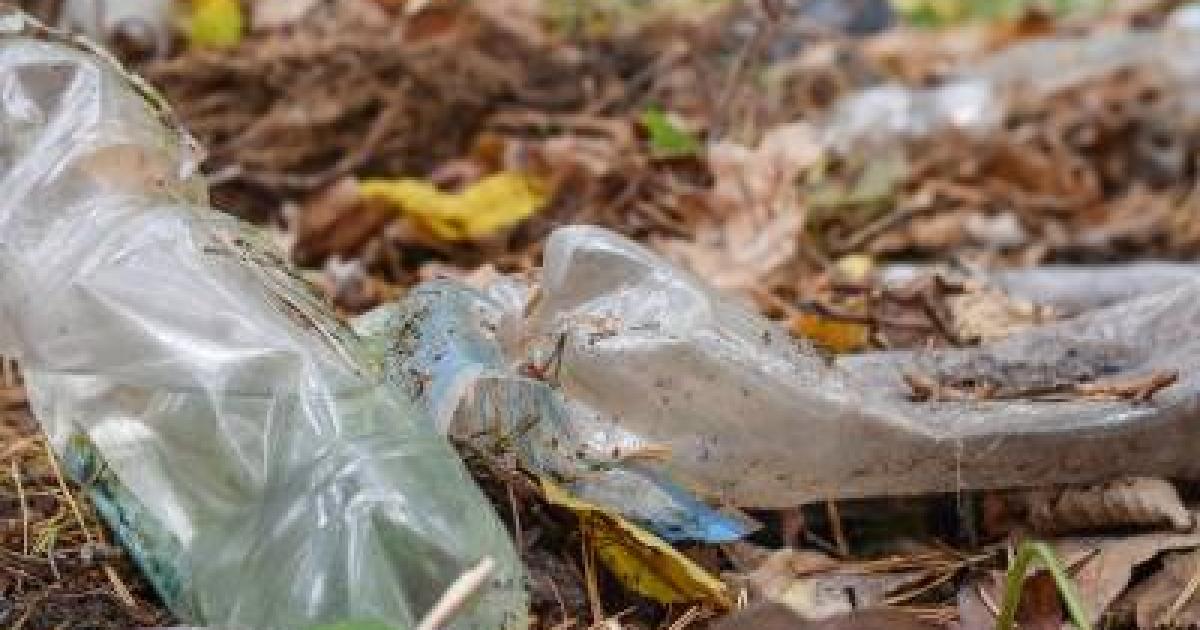 Wat kan je zelf doen voor schoon en gezond water? | Hoogheemraadschap ...