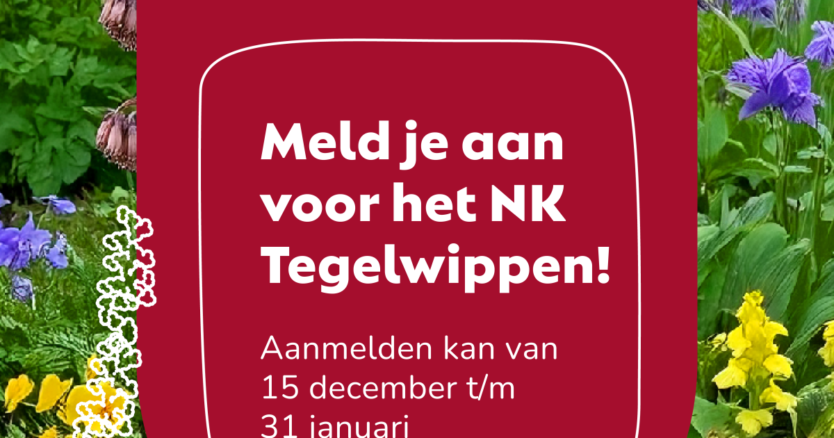 Registration for the 2026 Dutch Tile Flipping Championships is now open ...