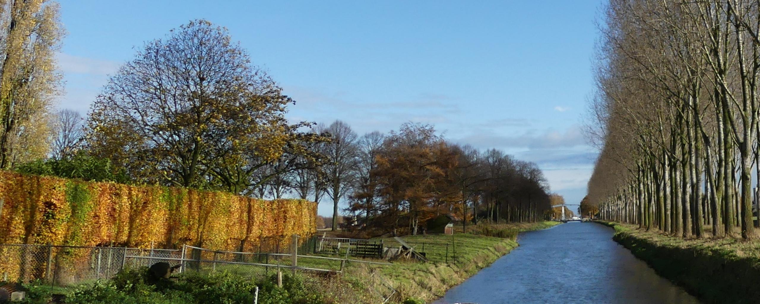 Home | Gemeente Nederweert