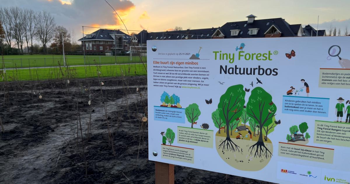 Tiny Forest locatie gezocht | Gemeente Nieuwkoop