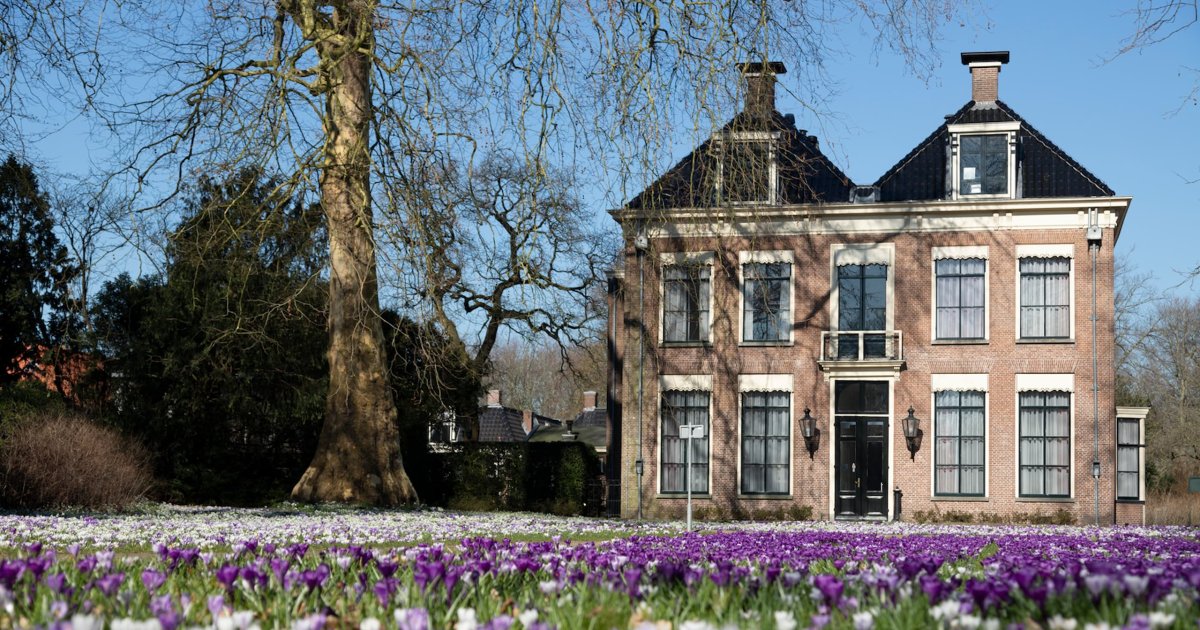 Bestuur en organisatie | Gemeente Opsterland