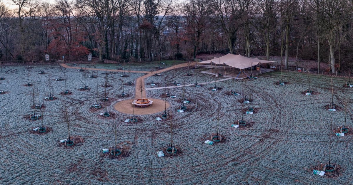 Boomsoorten | Gemeente Simpelveld