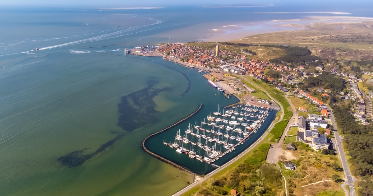 Gemeenteraad stemt in met plannen aanpak haven | Gemeente Terschelling