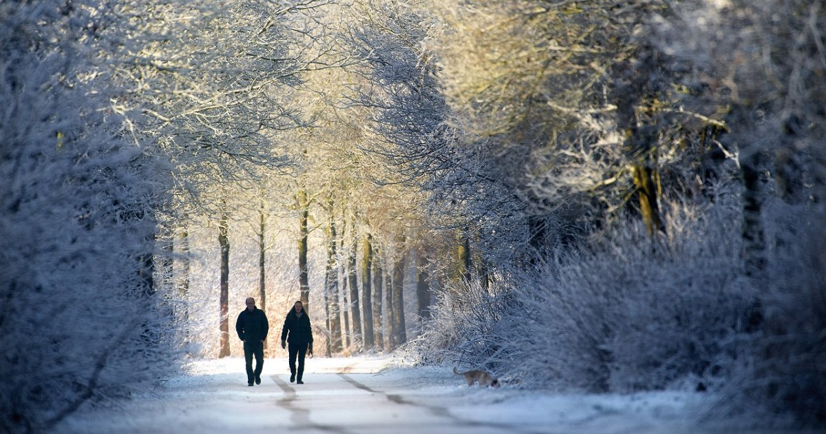 Winterweer in Tytsjerksteradiel: planning inhalen afvalinzameling ...
