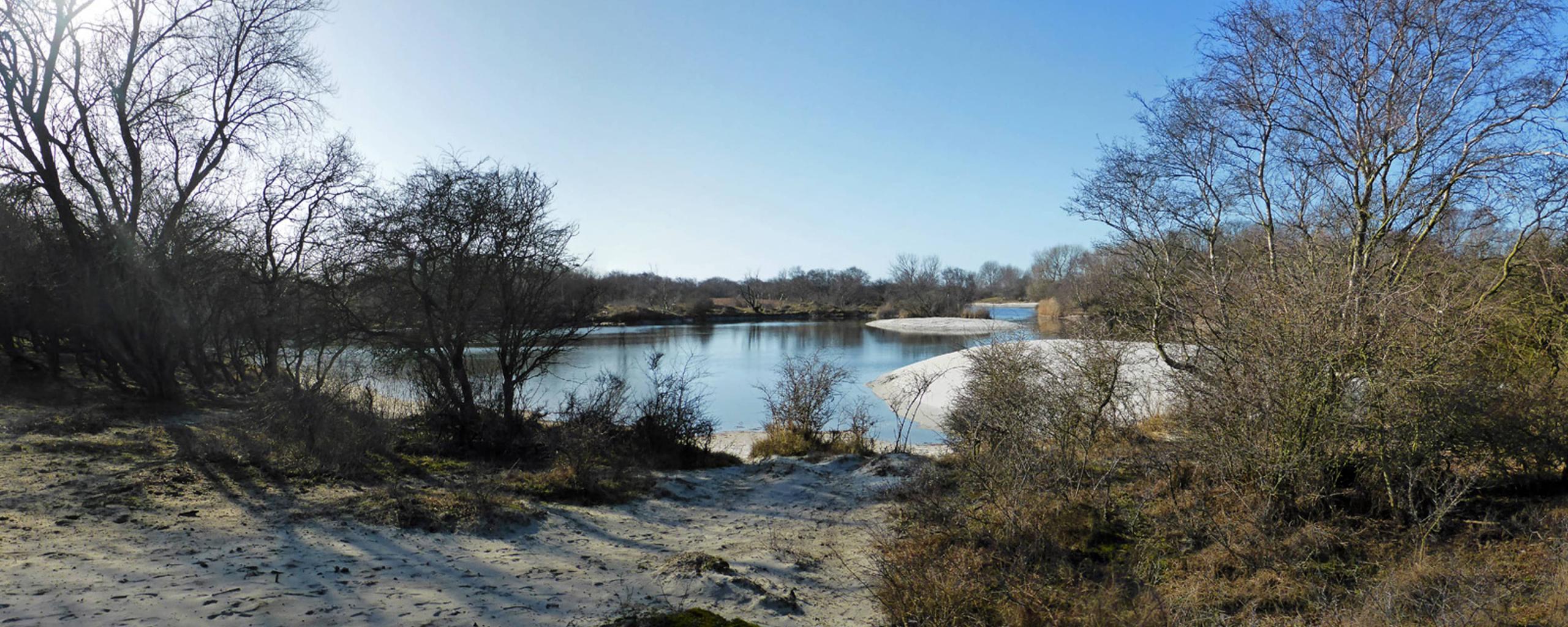 Municipal Wassenaar | Wassenaar