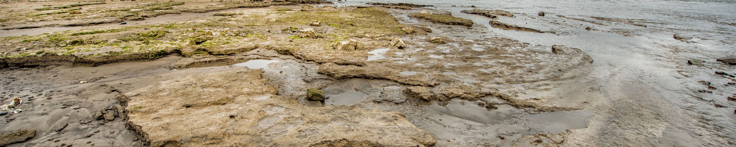 Droogte | Waterschap Rivierenland
