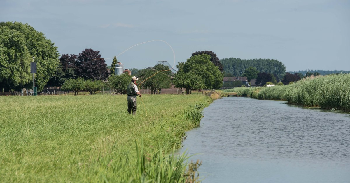 Visactiviteiten | Waterschap Rivierenland