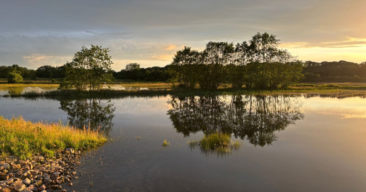 Water stroomt onbedoeld waterberging Ootmaanlanden in | Waterschap ...