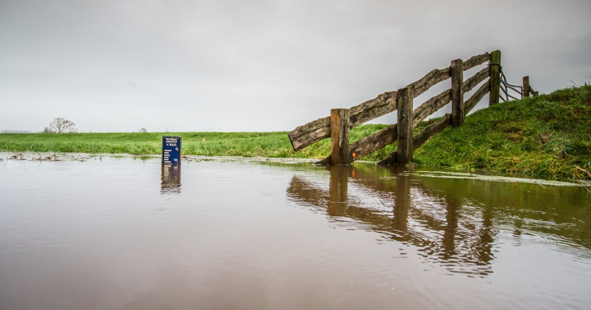 Calamiteit melden: 088-2331200 | Waterschap Drents Overijsselse Delta ...