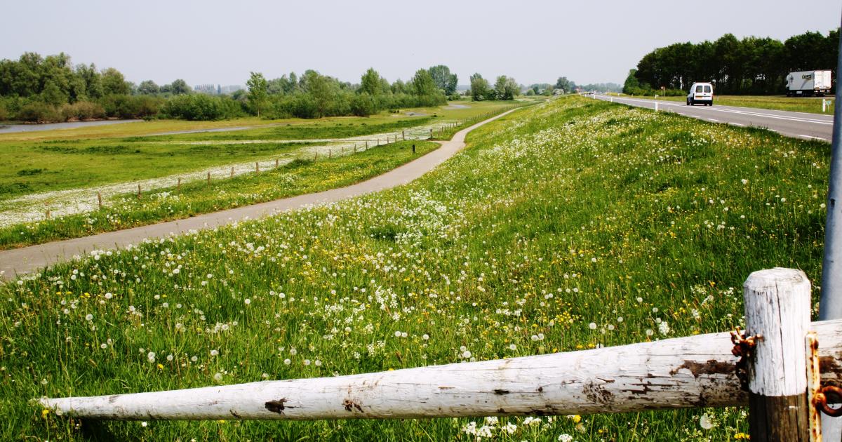Inspectie dijken | Waterschap Drents Overijsselse Delta