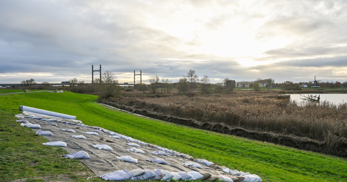 Drie vragen aan.... Peter Hopman: Hoe bepaal je of een dijk veilig is ...