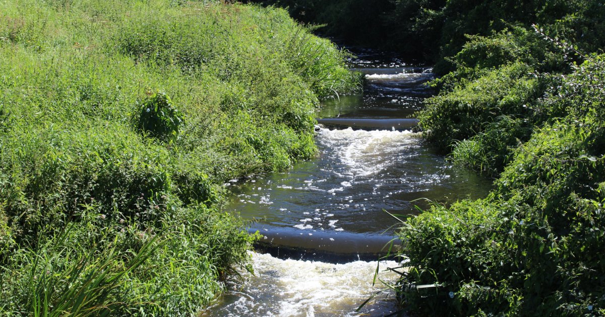 Fuiken bij vispassages illegaal geleegd | Waterschap Drents ...