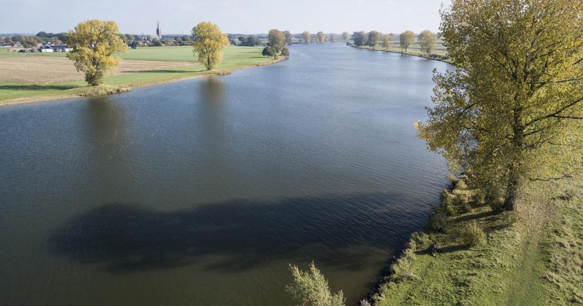 Meanderende Maas | West Maas en Waal