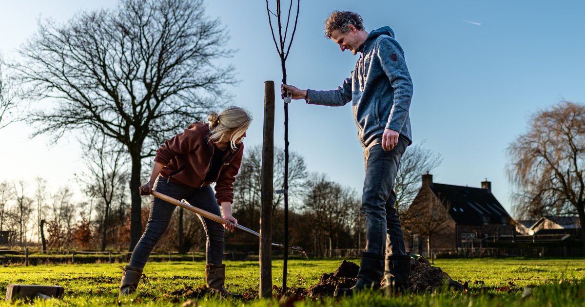 Gemeentenieuws 19 mei 2026 | Winterswijk