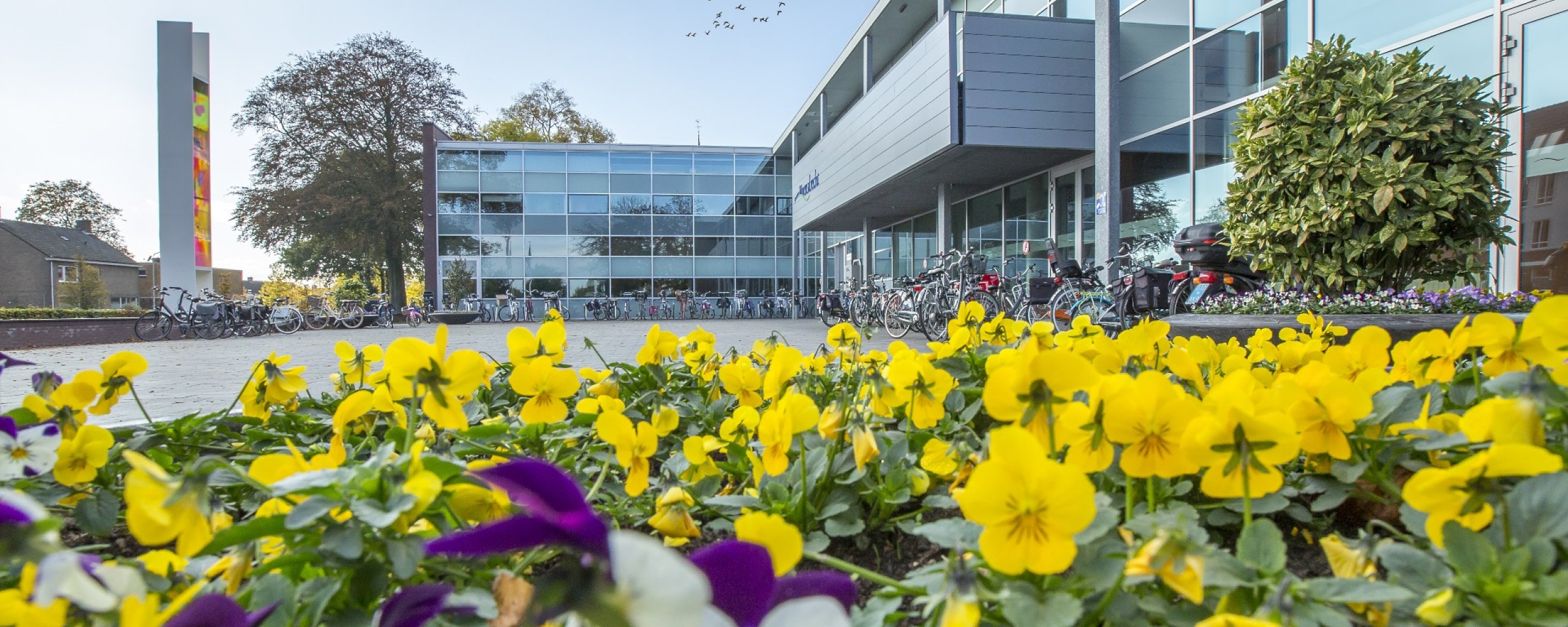 Contact | Gemeente Woensdrecht