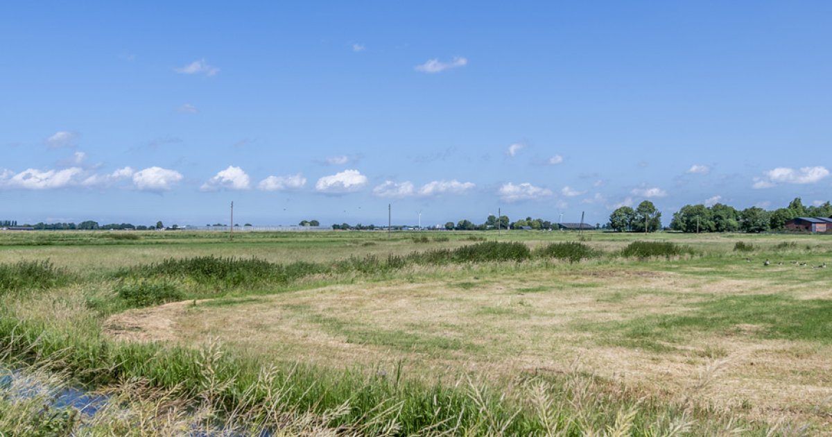 Rijk kent subsidies toe aan ontwikkeling Cortelande en bereikbaarheid ...